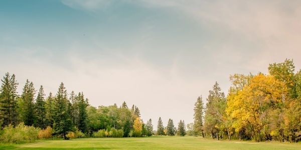 Tournament Information