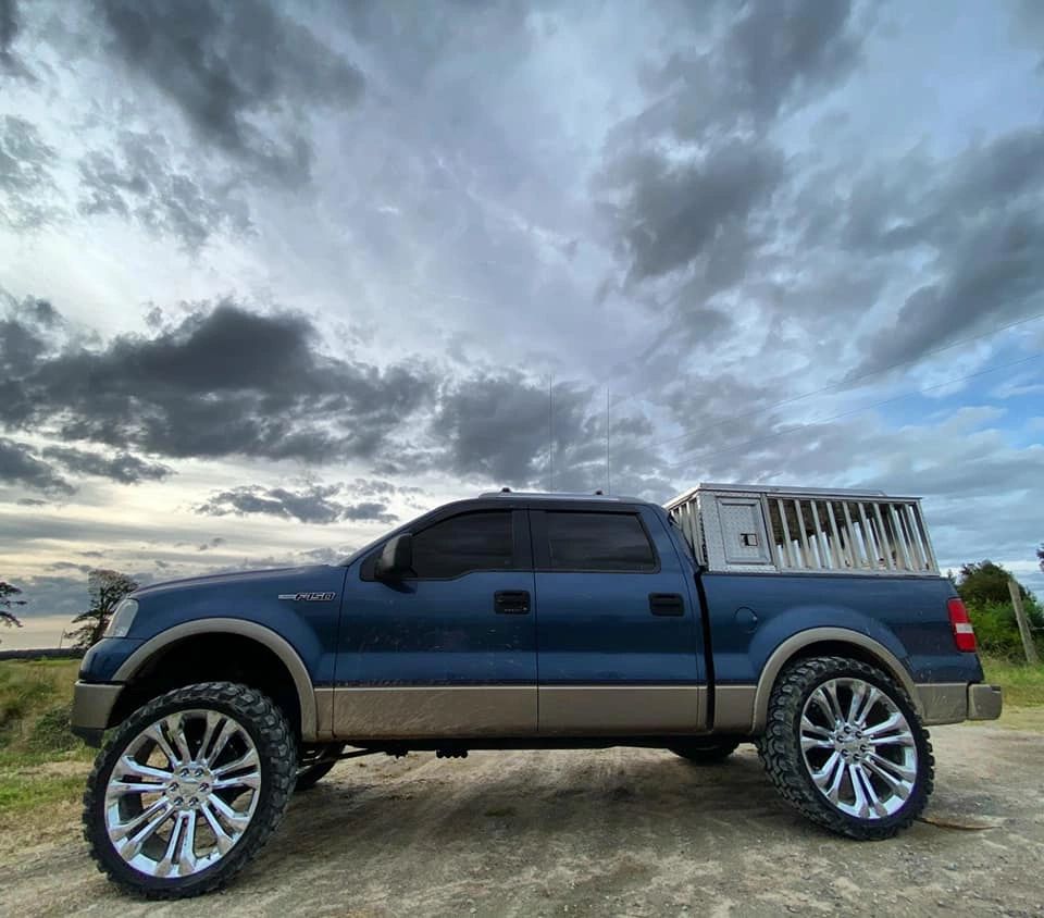 All American Dog Box - Dog Box, Dog Box, Deer Dog Box, Box Dog