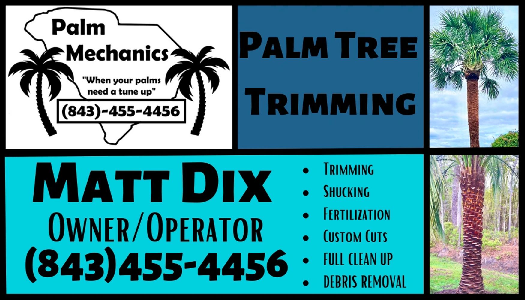 Expert Palm Tree Maintenance & Fertilization