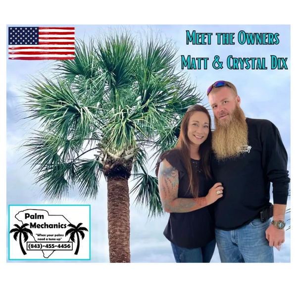 Expert Palm Tree Maintenance & Fertilization