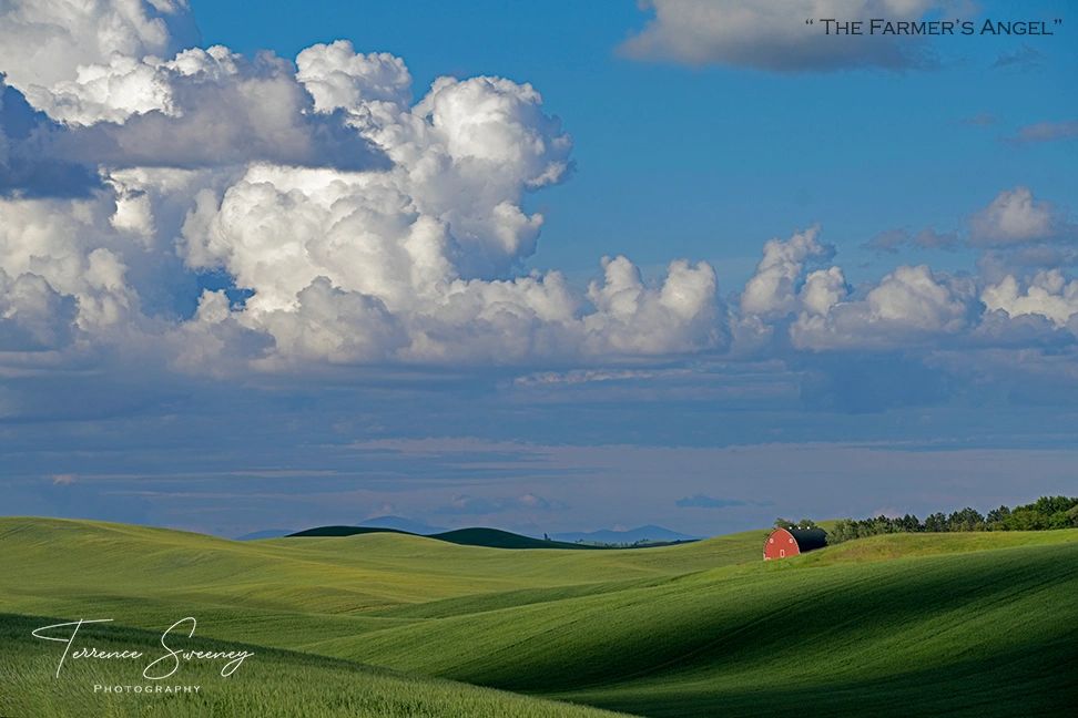 Wildlife and Scenic Photography - Terrence Sweeney Photography