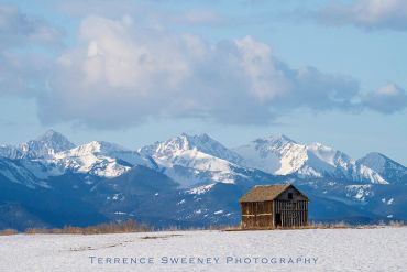 Wildlife and Scenic Photography - Terrence Sweeney Photography