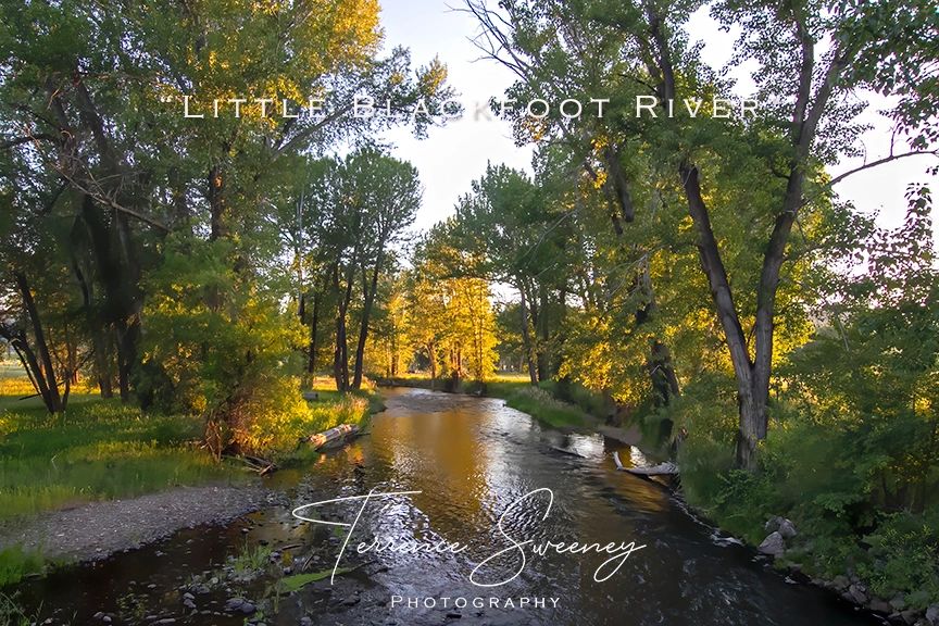 "Little Blackfoot River" | Avon, Montana