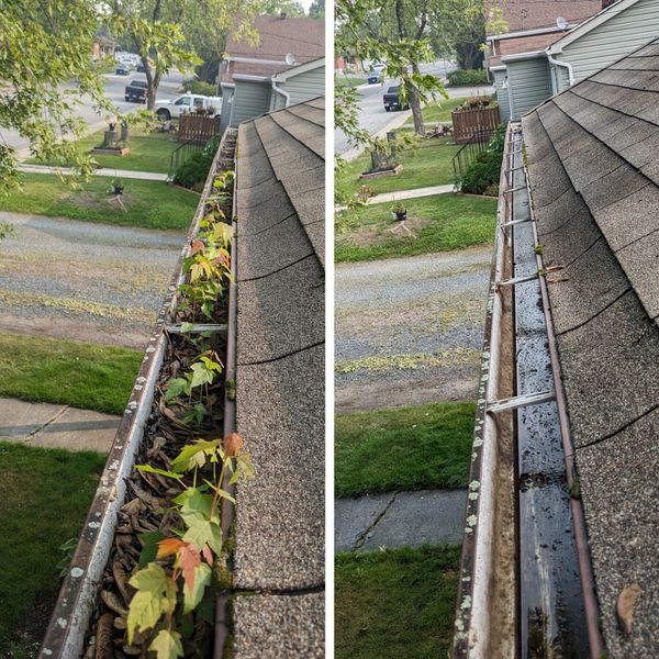 Exterior House Washing