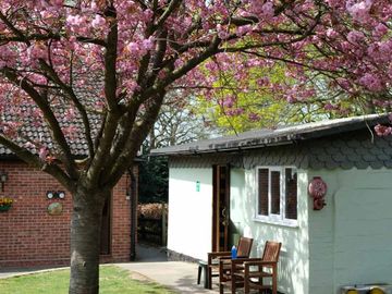 Springwood Sun Club - Naturist, Naturists Family, Camping Sites