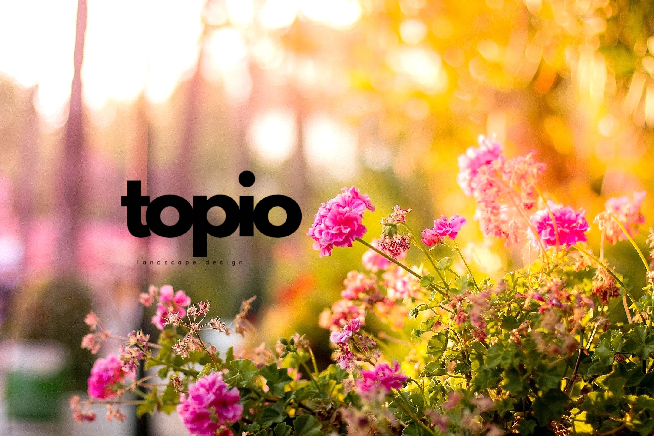 topio.co.uk
