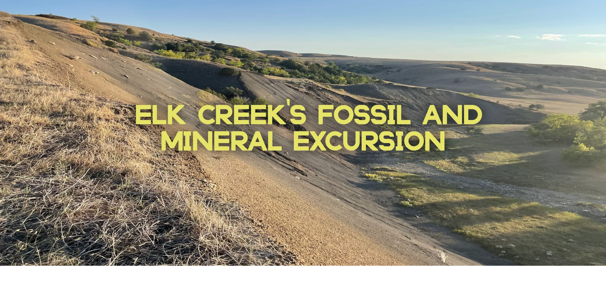 Fossil Excursion