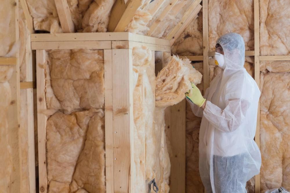 How Termites Can Affect Your Home’s Insulation