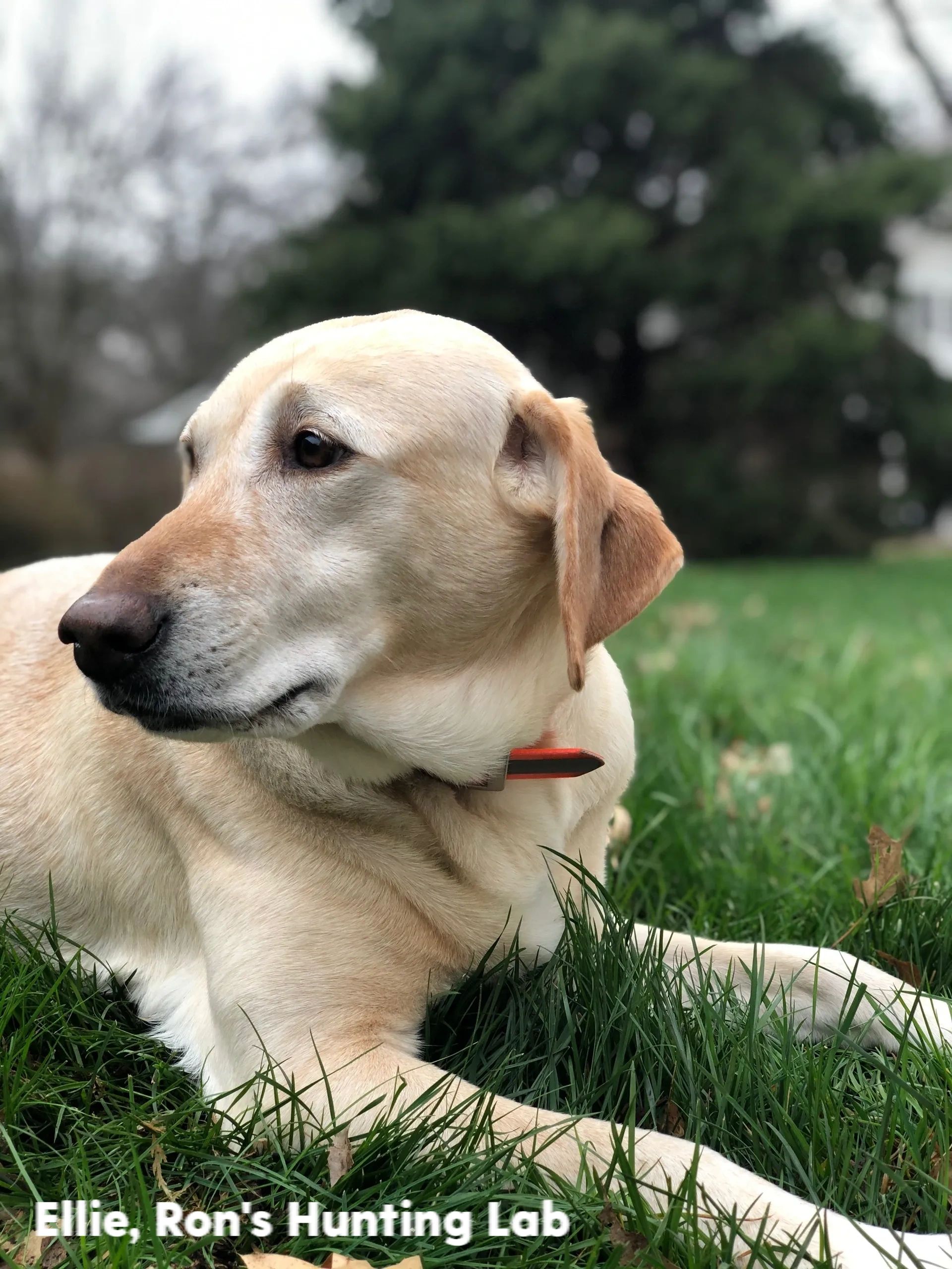 Commercial Property Appraisal Services | Aul Appraisals, L.C.