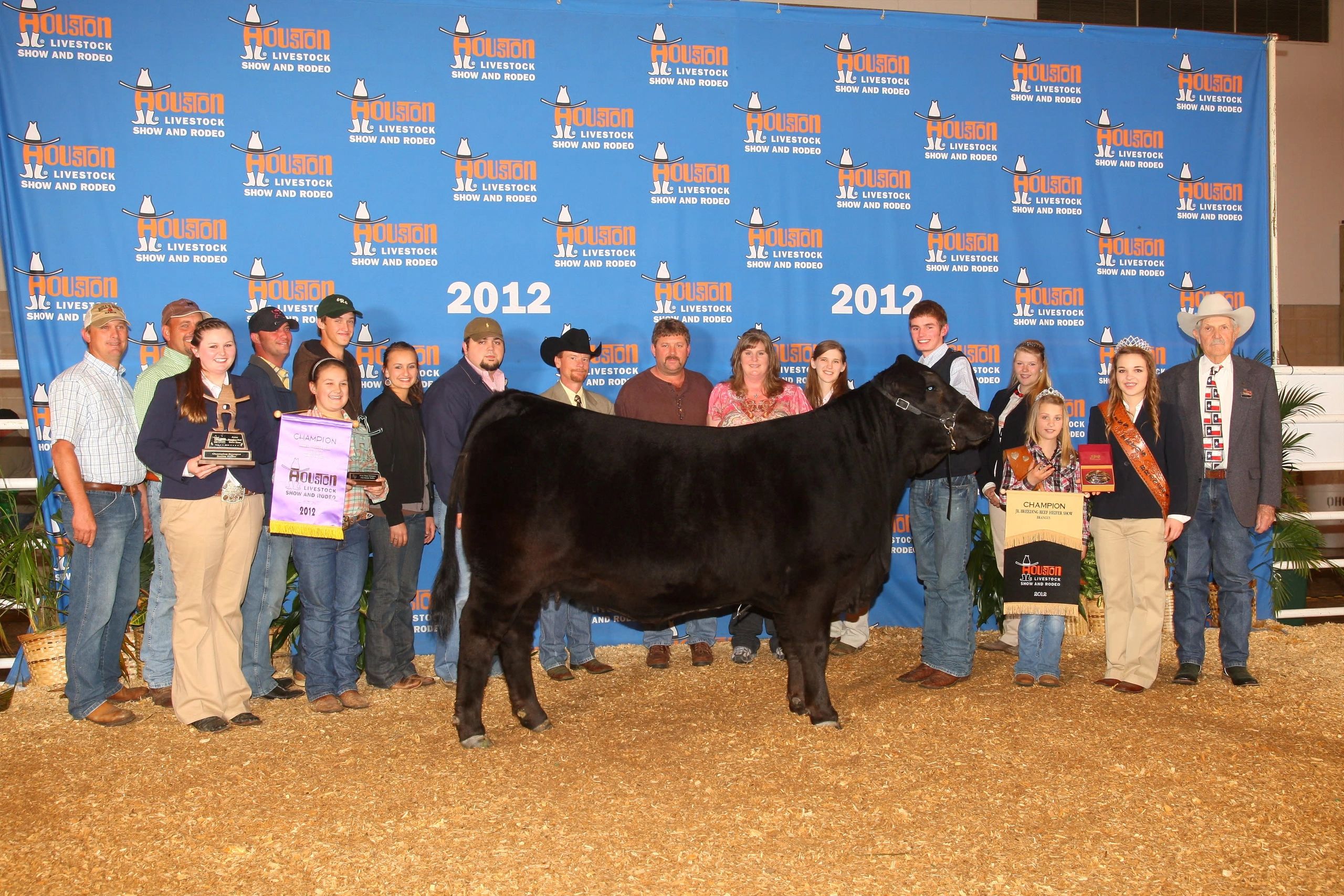 Brangus Cattle - Double Diamond Cattle Company