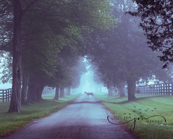 Photo Compositing, Photo Restoration, Professional Photographer - Jen ...