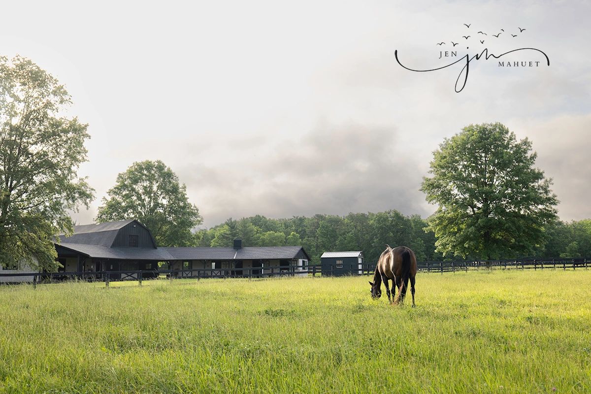 Photo Compositing, Photo Restoration, Professional Photographer - Jen ...