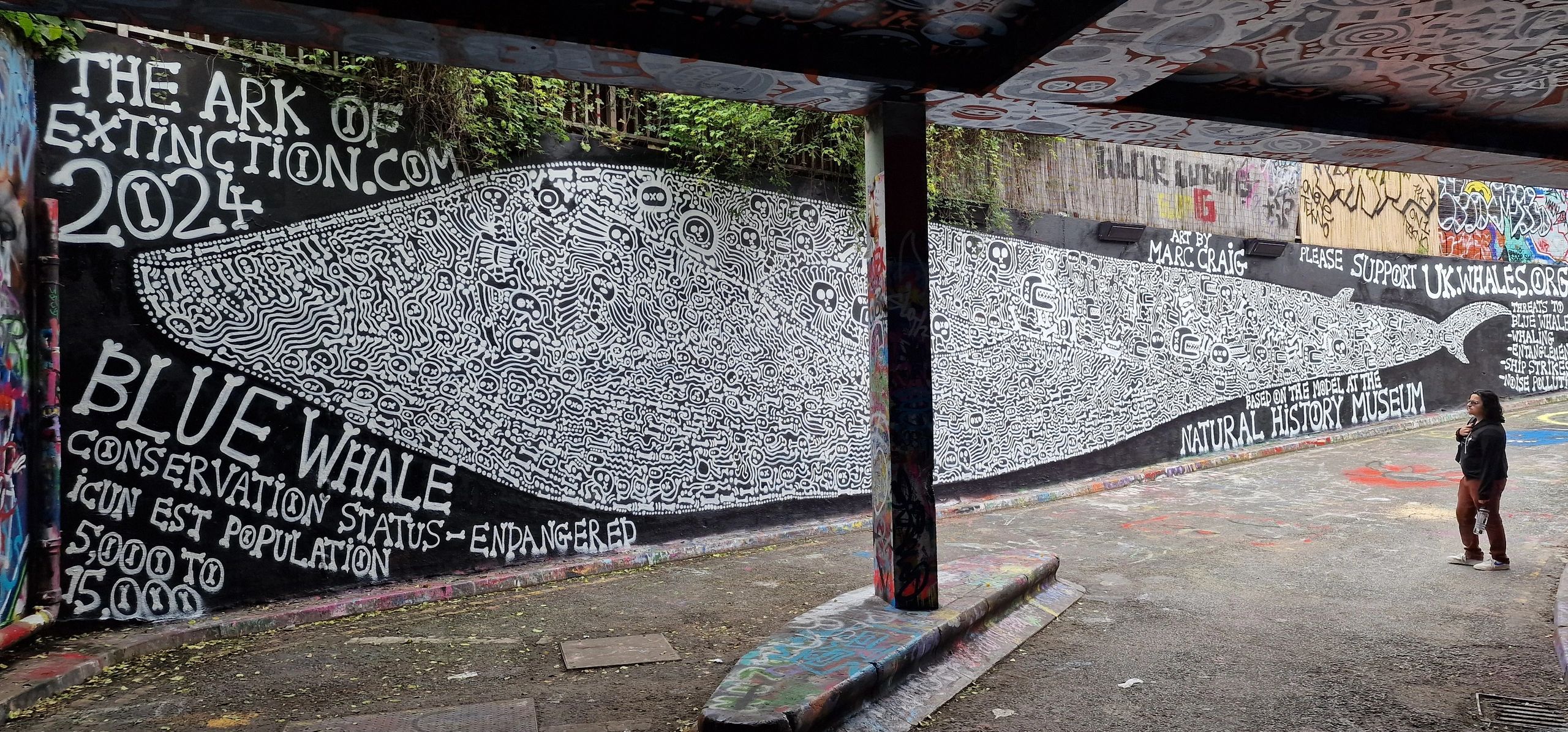 HOME [marccraig.co.uk]