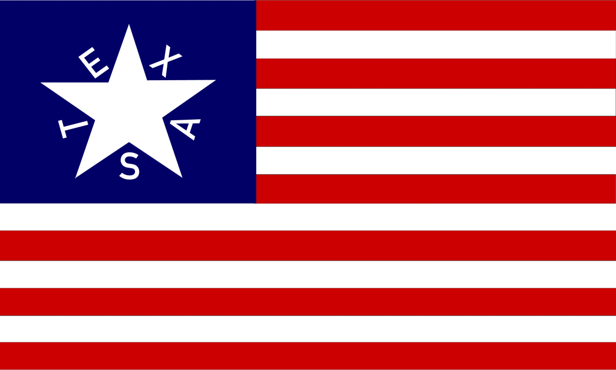 Davy Crockett Alamo Flag
