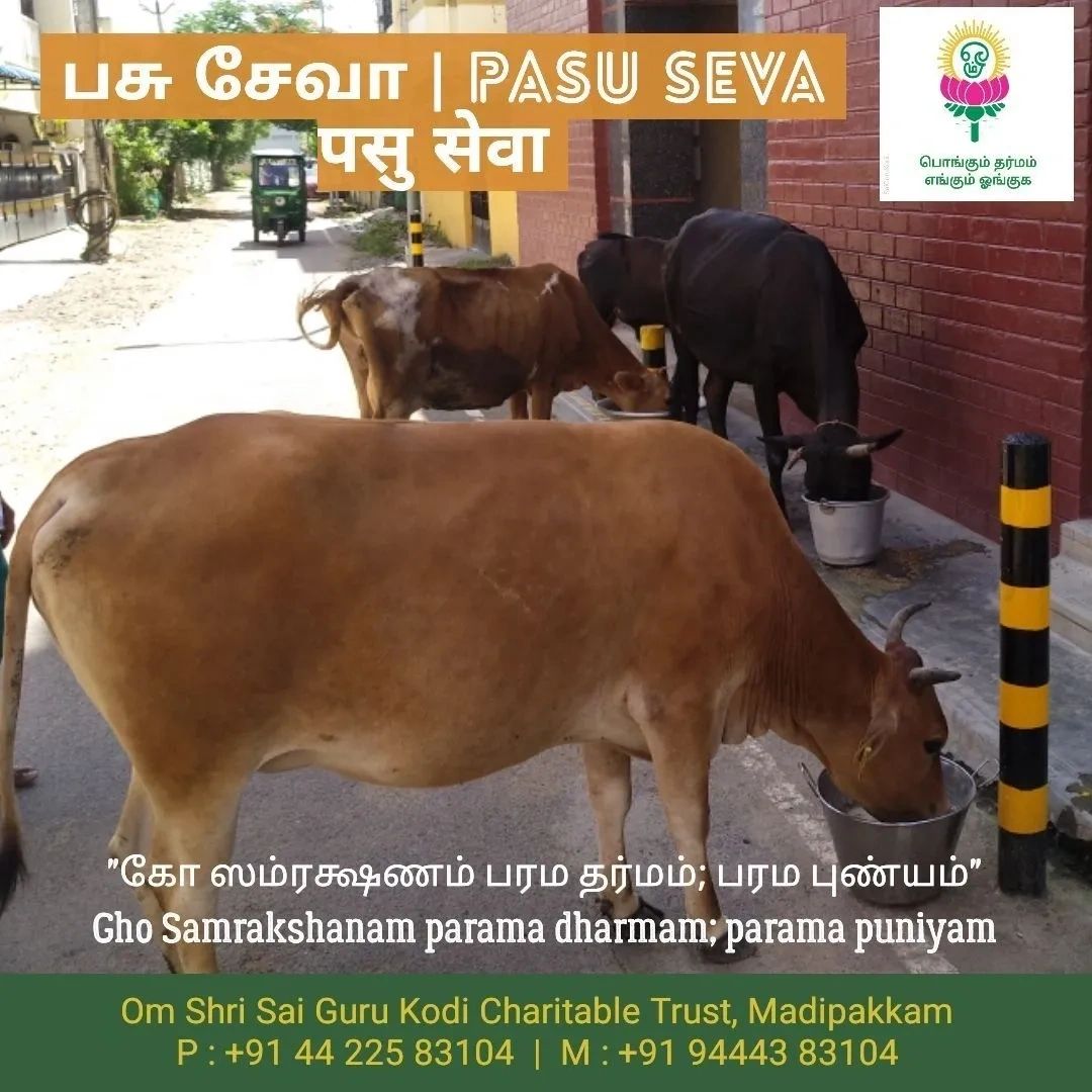 Pasu Seva - பசு சேவா - पसु सेवा - கோ ஸம்ரக்ஷணம்