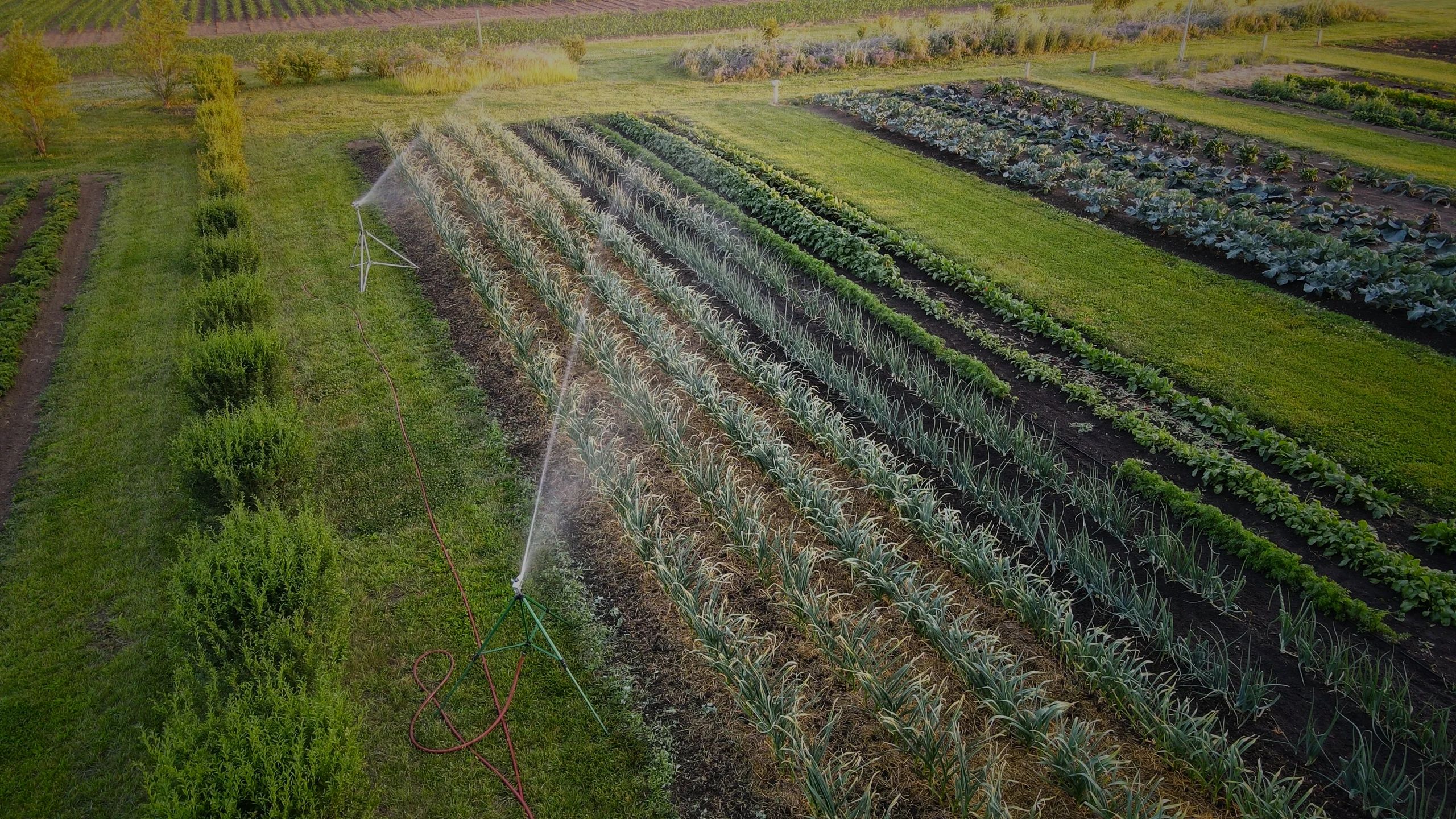 OasisAcresFarm