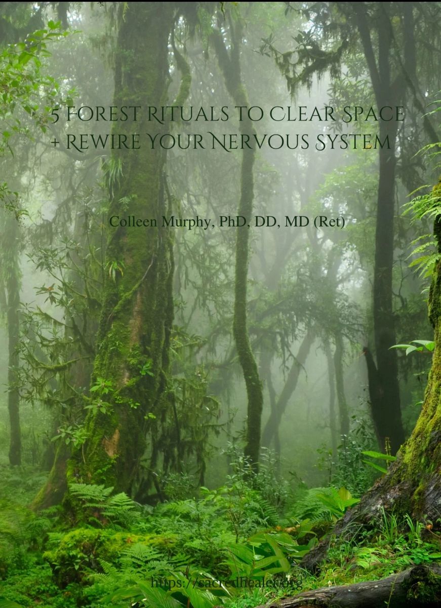 5 Forest Rituals to Clear Space + Rewire Your Nervous System