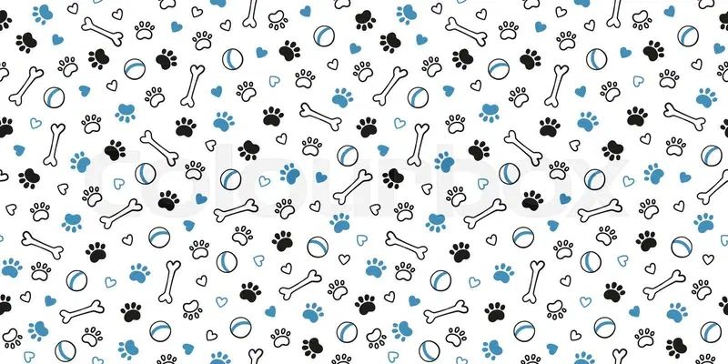 Stray Haven Humane Society & SPCA