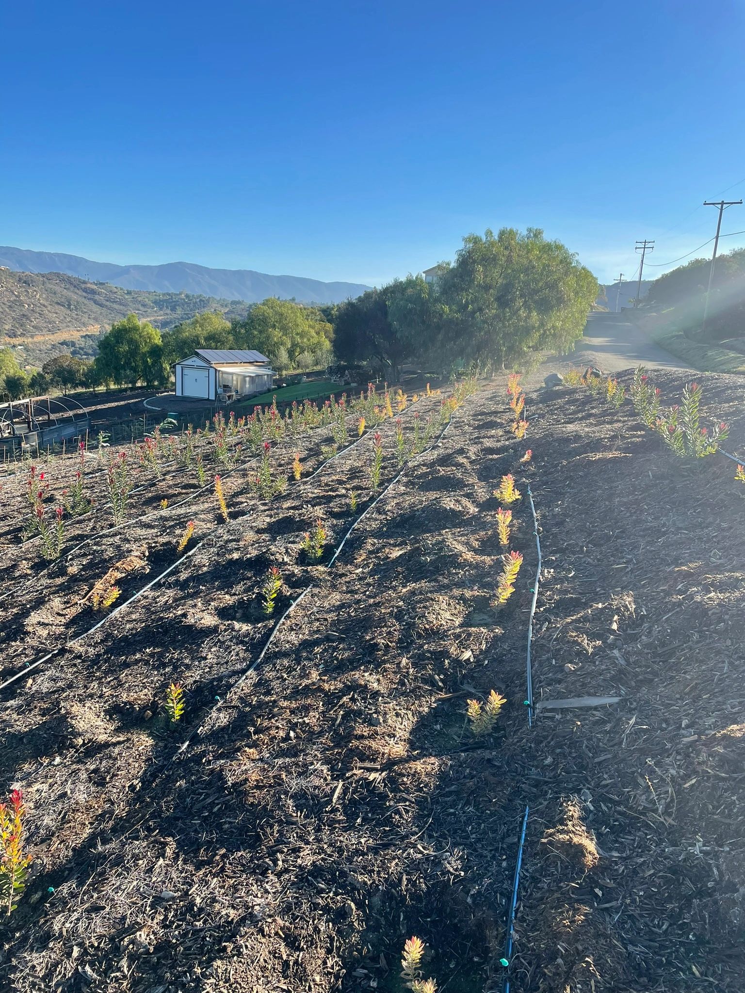 End of the Road Farm