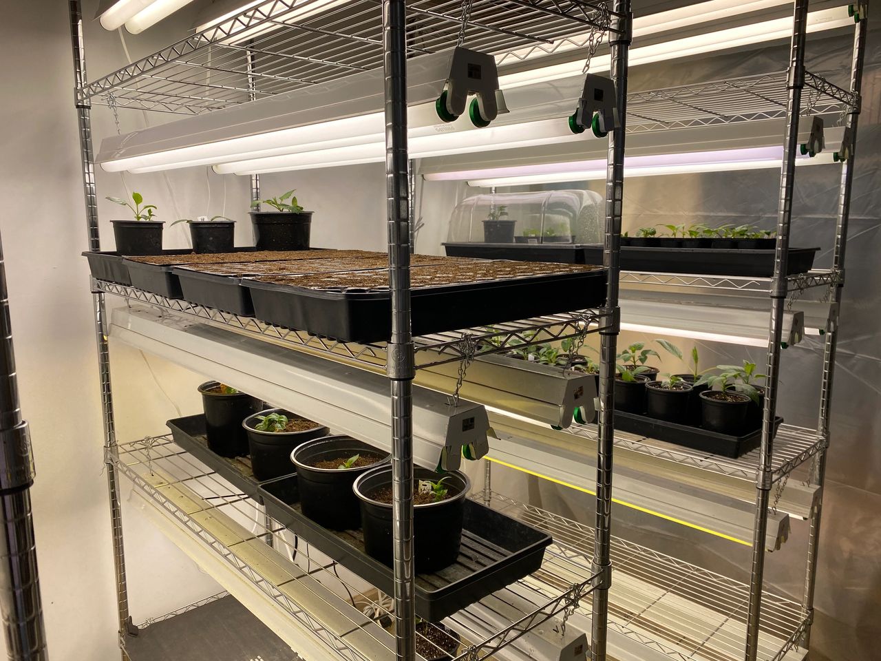 Build An Indoor Seed Starting Rack DIY Plant Shelf With Grow Lights To