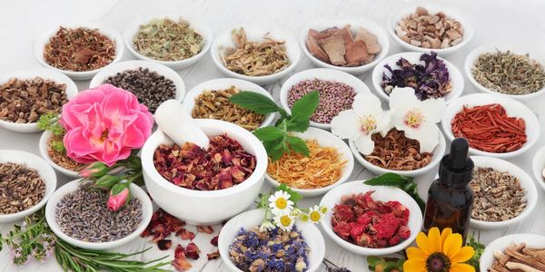 Barbara's Wellness - Herbal Consultations, Herbal Medicine