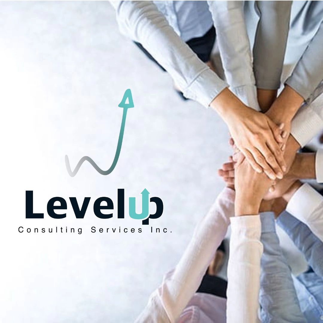 Level Up Consulting Services Inc.