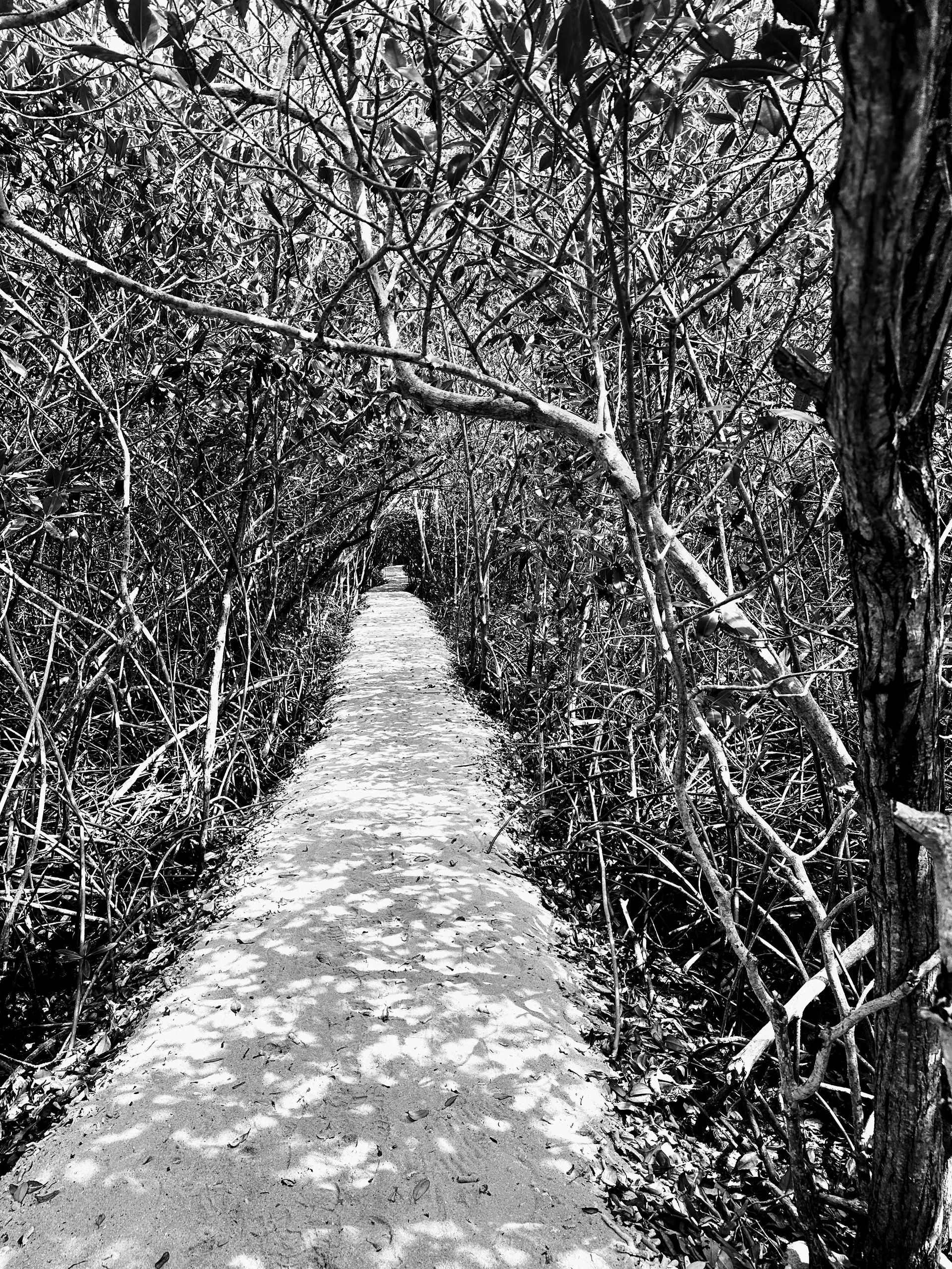 Merch | Ur Road Less Traveled