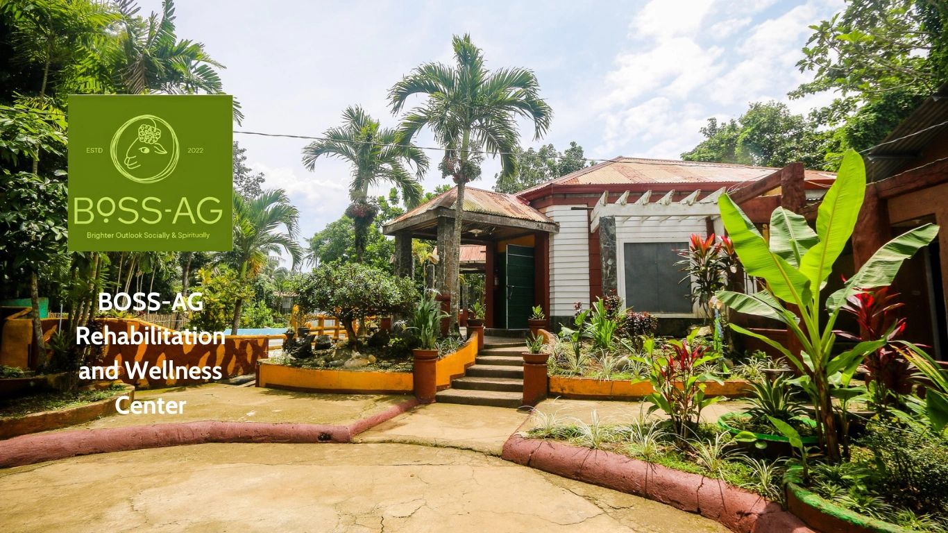 WHAT IS BOSS AG | BOSS-AG