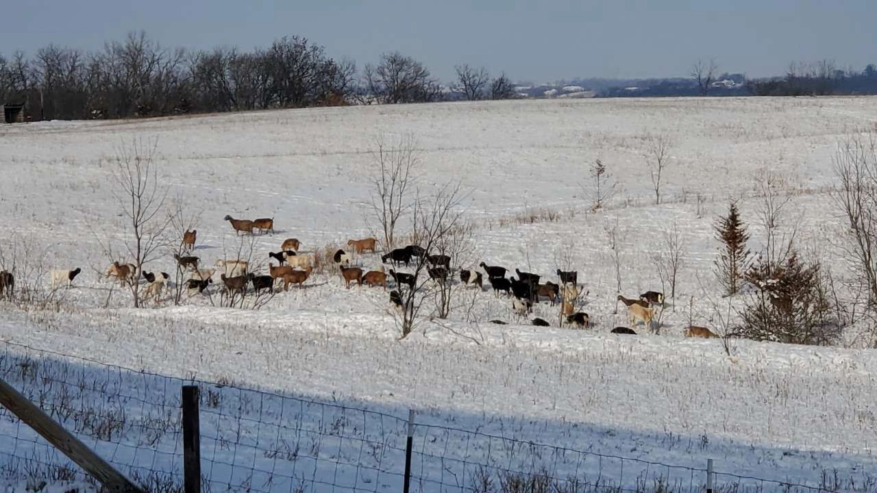Farm Tours | Simple Life Farms