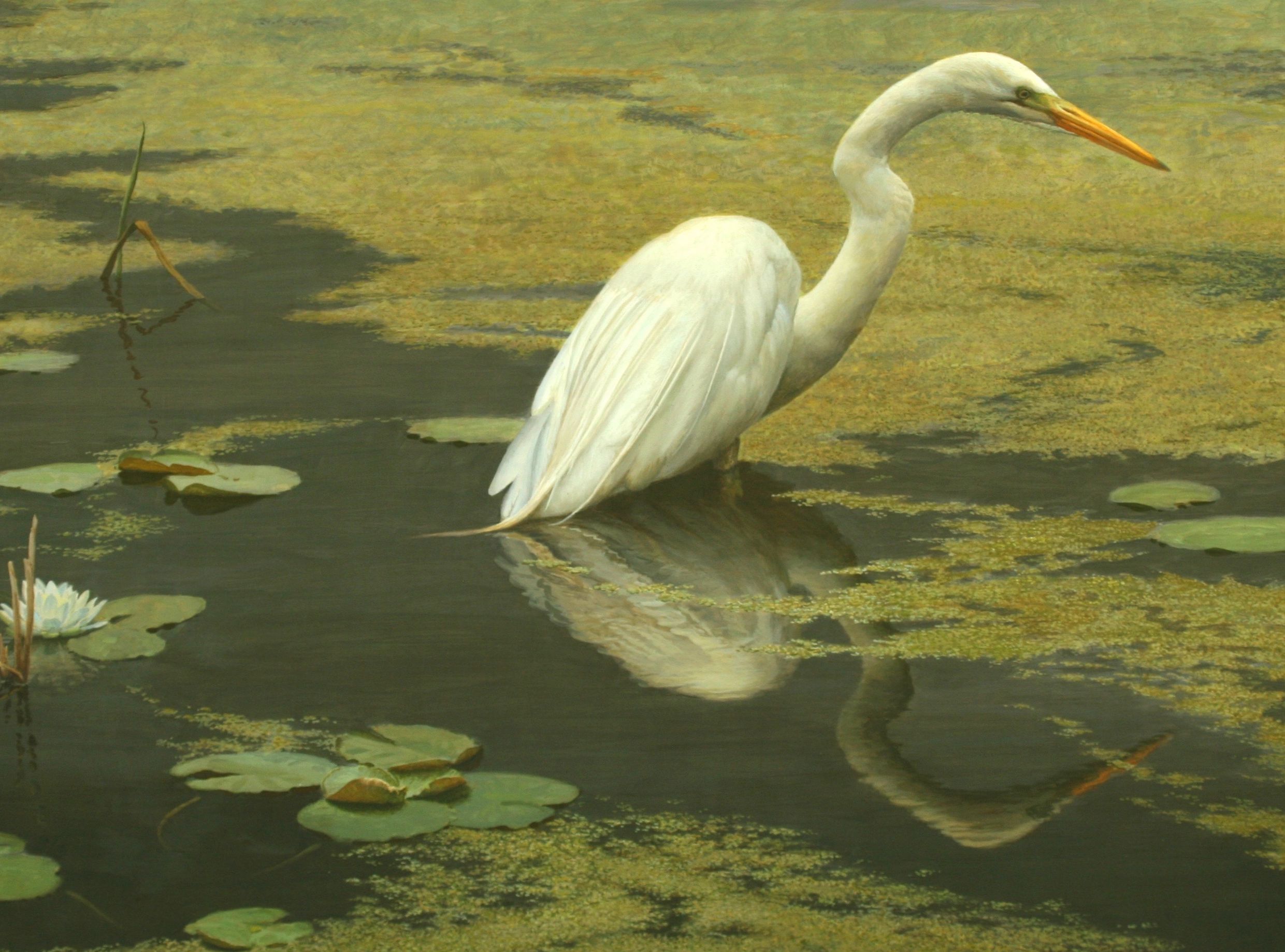 Jeff Gandert Wildlife & Landscape Artist