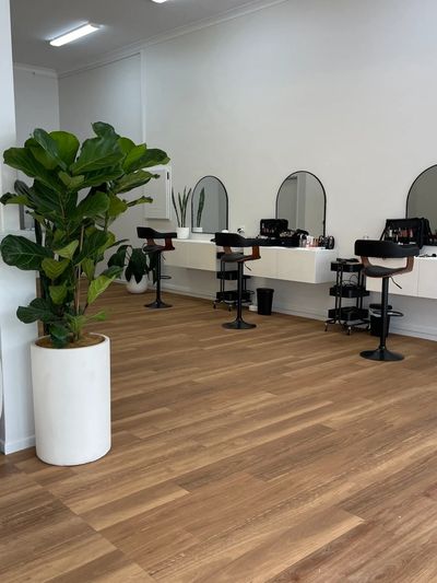 ABOUT SOL | Sol Studios Newstead