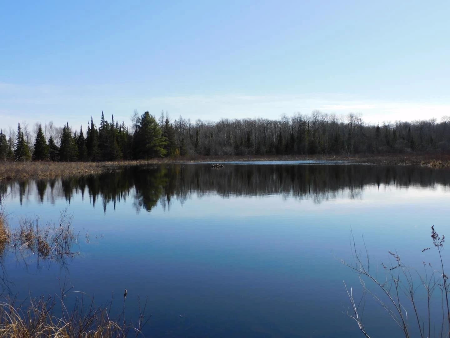 Before and After in Whitestone