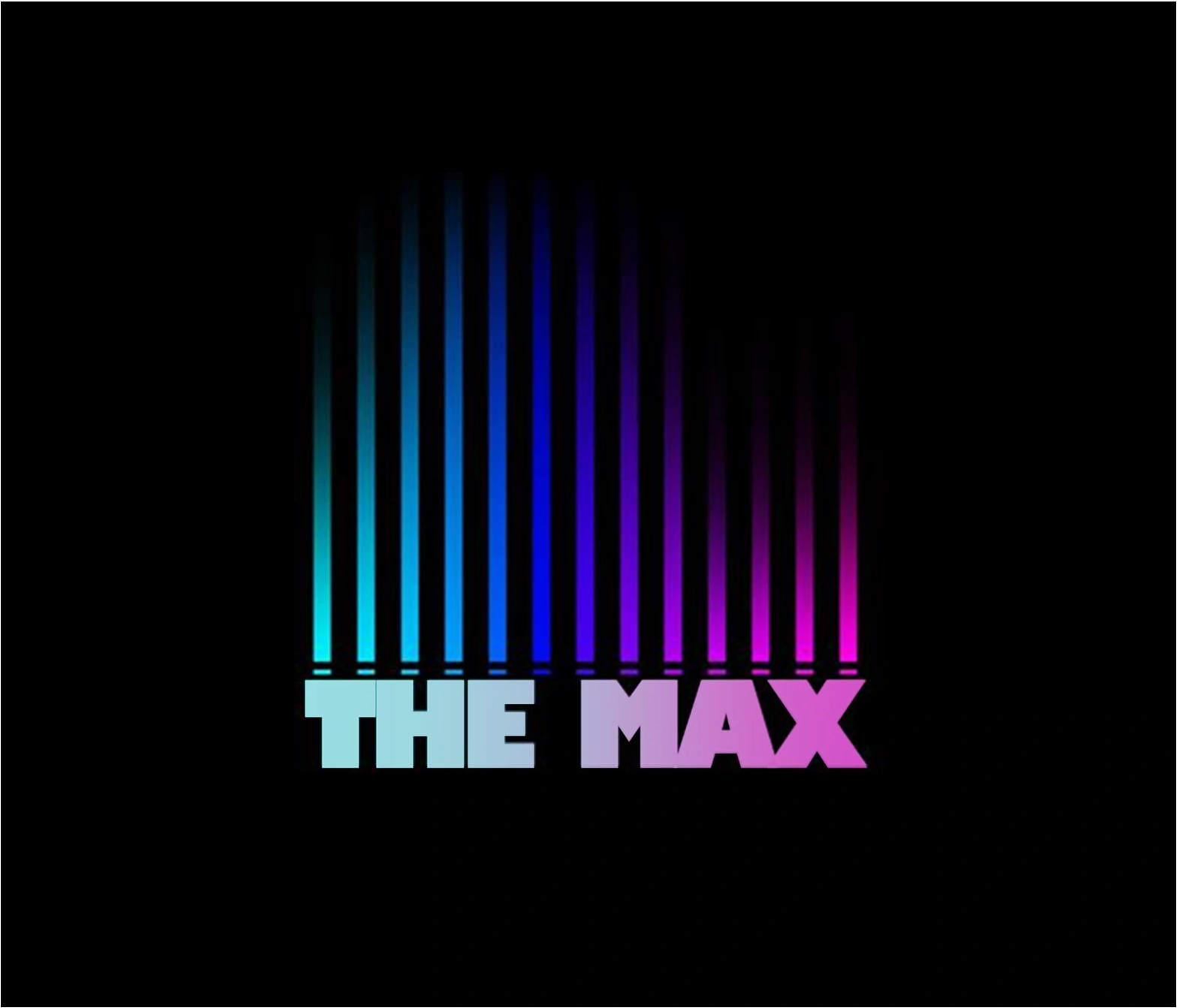 The Max - established 1984