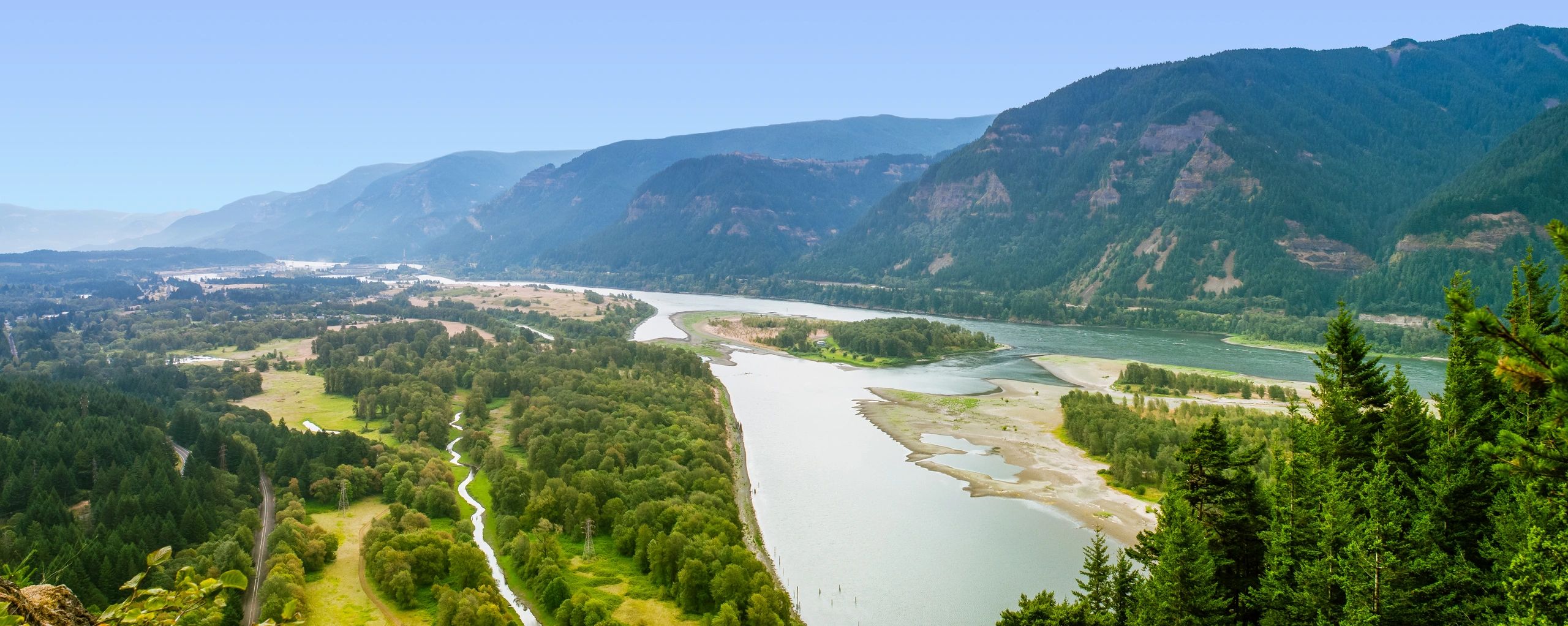 Micci J. Susott, CPA