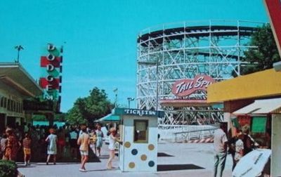 Dandilion Daze - Muskego Clubs, Local Non Profit, Festival | Dandilion Daze