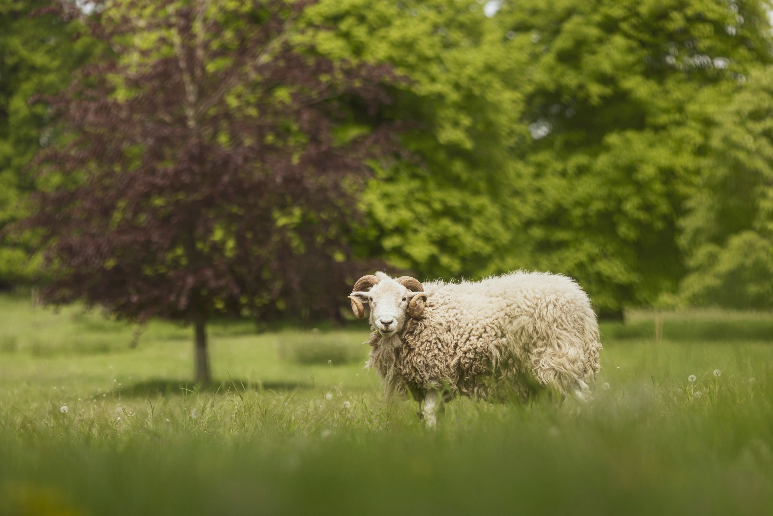 Luxurious Holiday Home Rentals in Norfolk