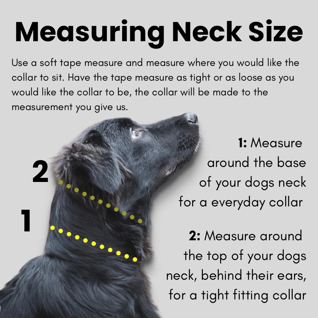 What Is Neck Girth On A Dog
