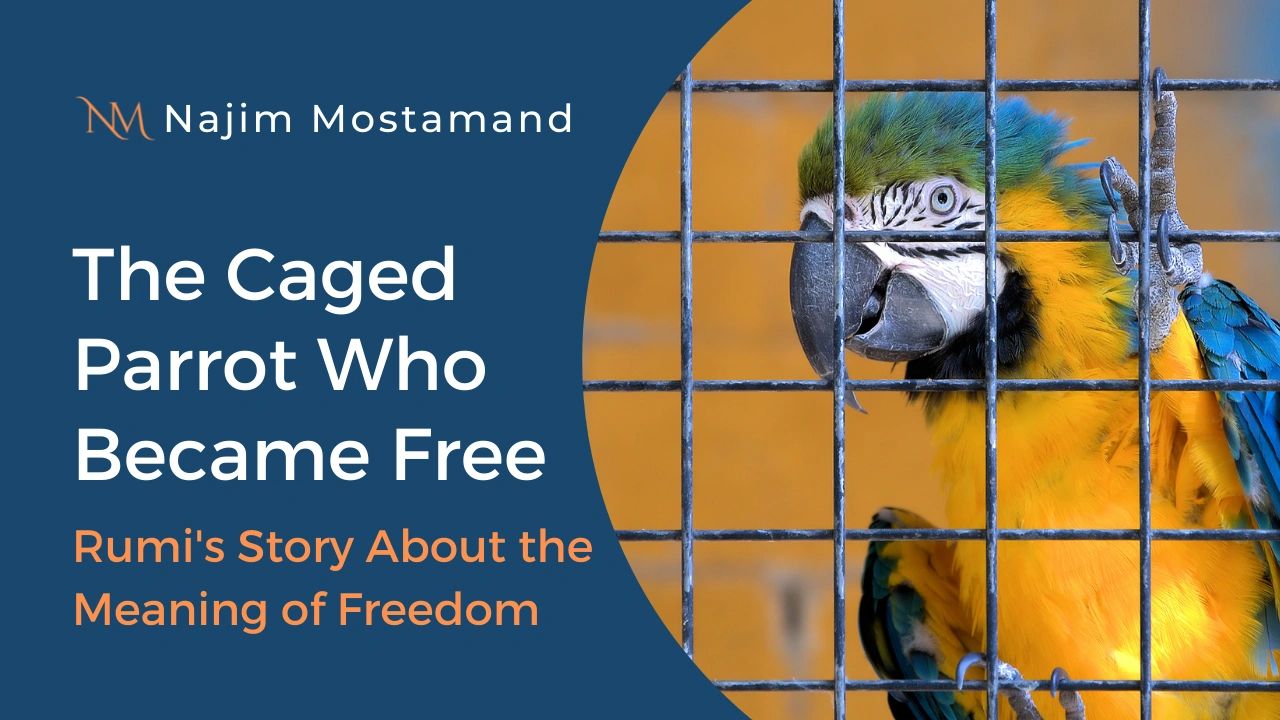 The Parrot That Died and Became Free – A Rumi Story