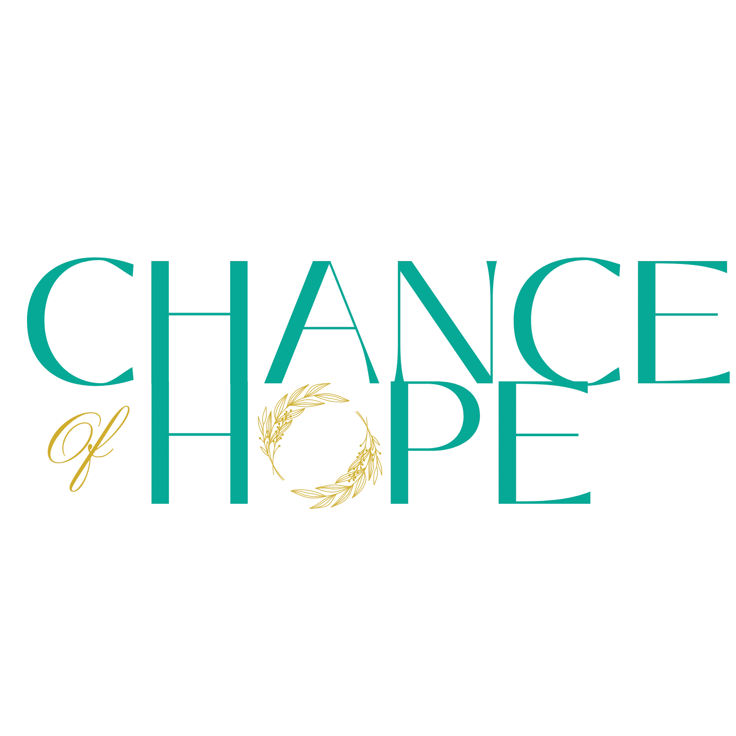 Chance of Hope - Transitional Program, Mentoring, Nonprofit