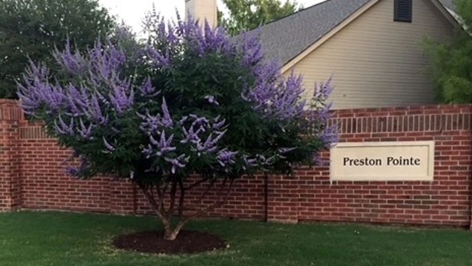 Preston Pointe HOA