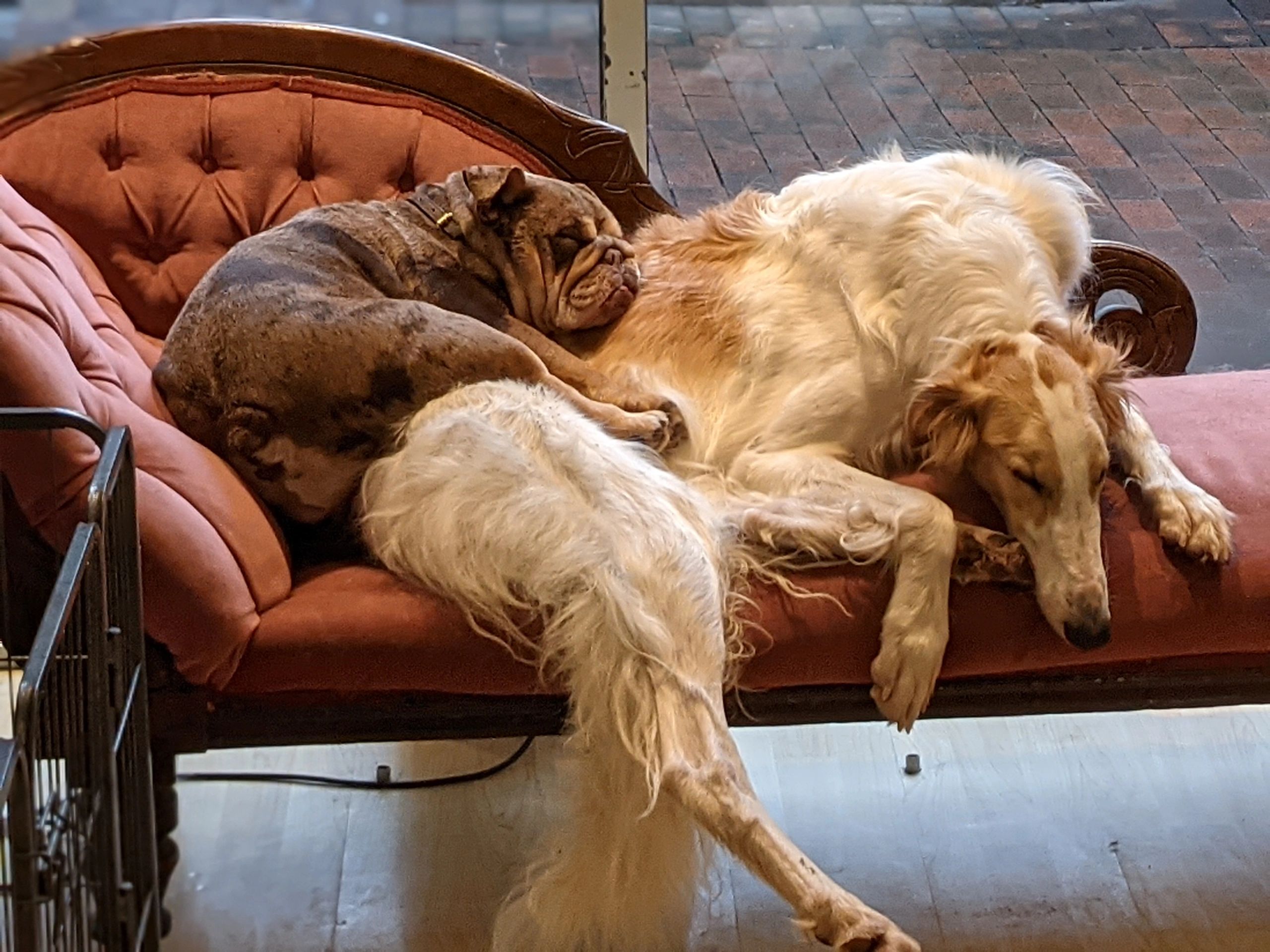 Price List Bespoke Dog Grooming Therapy price-list-bespoke-dog-grooming-therapy