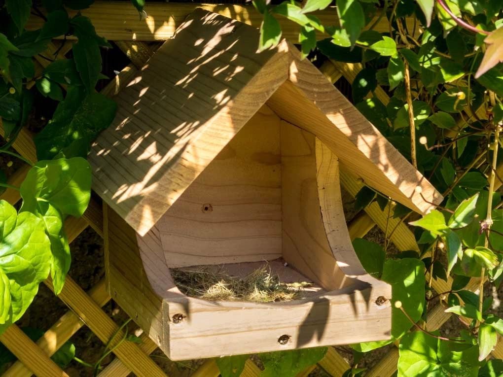 Blackbird Nest Box