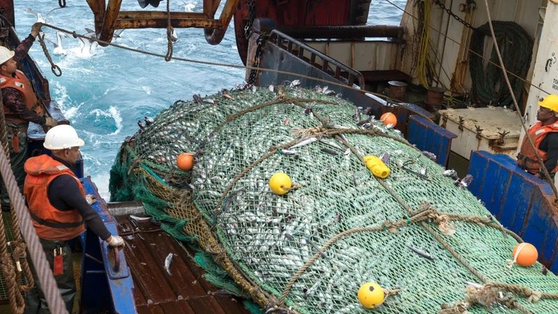 Hake Sector: Minimum Wage and Minimum Rest Periods