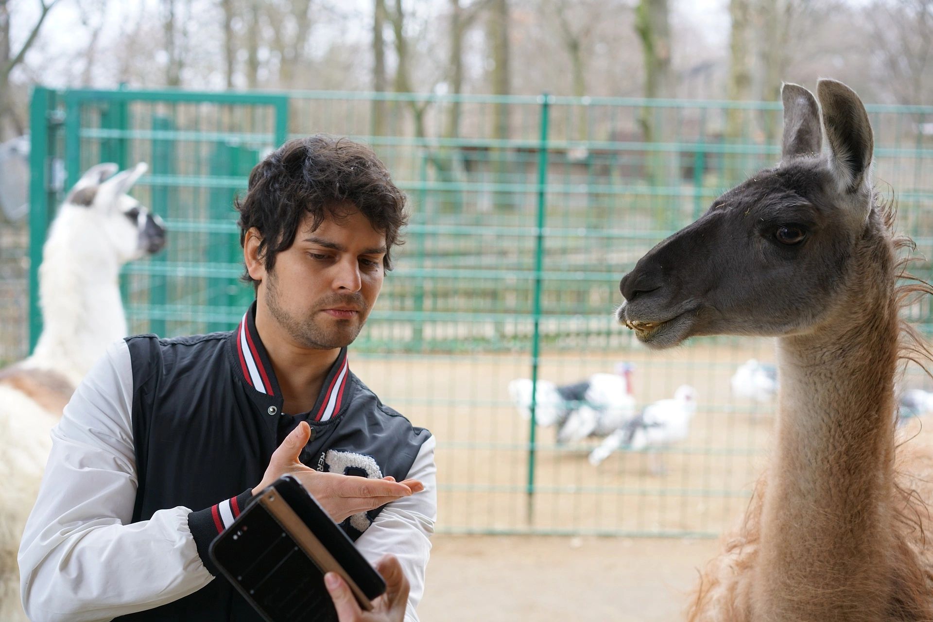 Tax Planning, Tax Resolution, and Accountant