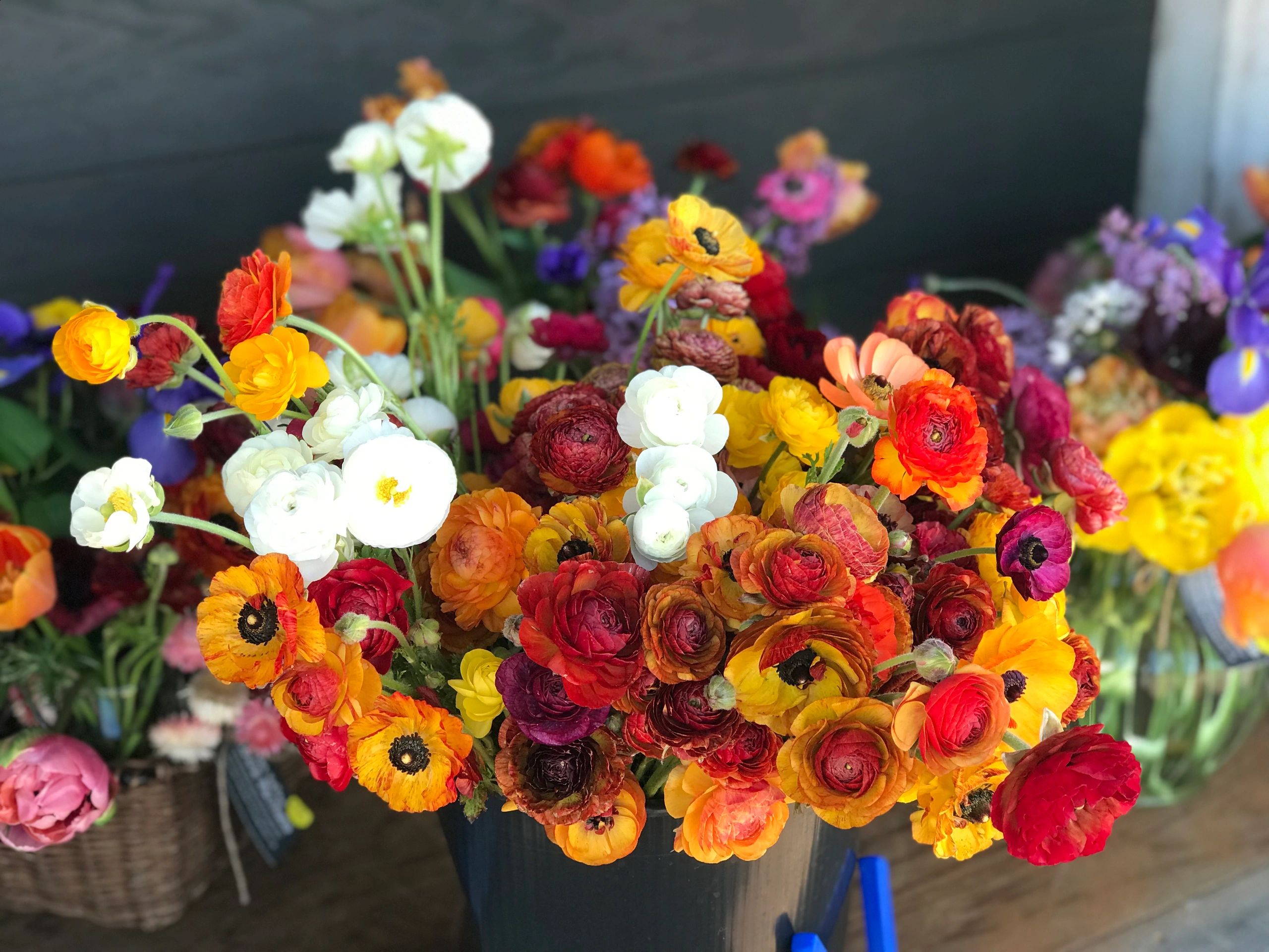 Green Valley Flower Farmette in El Dorado Hills, California