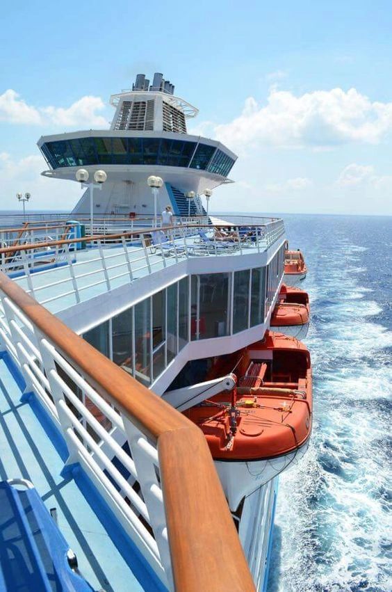 Does a Cruise Ship Stop if You Fall Overboard?
