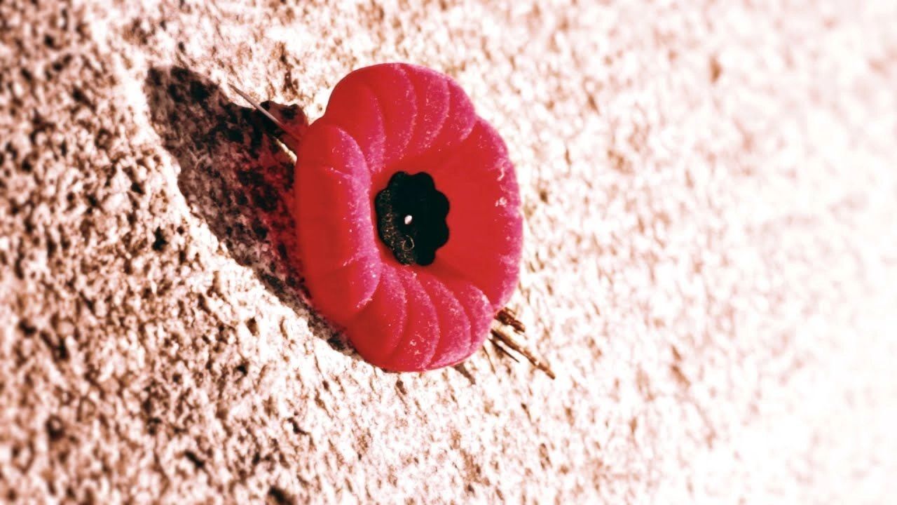 The WWI Origins of the Poppy as a Remembrance Symbol