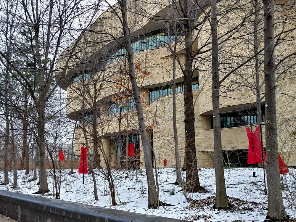 The REDress Project