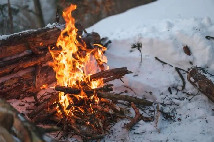 How to Build a Fire in the Snow
