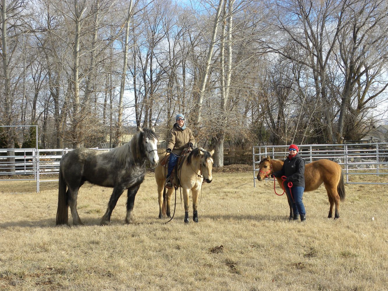 Horseback Riding, Horse Training - SSRanch77